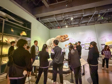 Exploring Museum Curation at Hong Kong Science Museum - CLAP-TECH Pathway